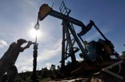 Hunting Mice In Oil And Gas Field — PWYP Indonesia