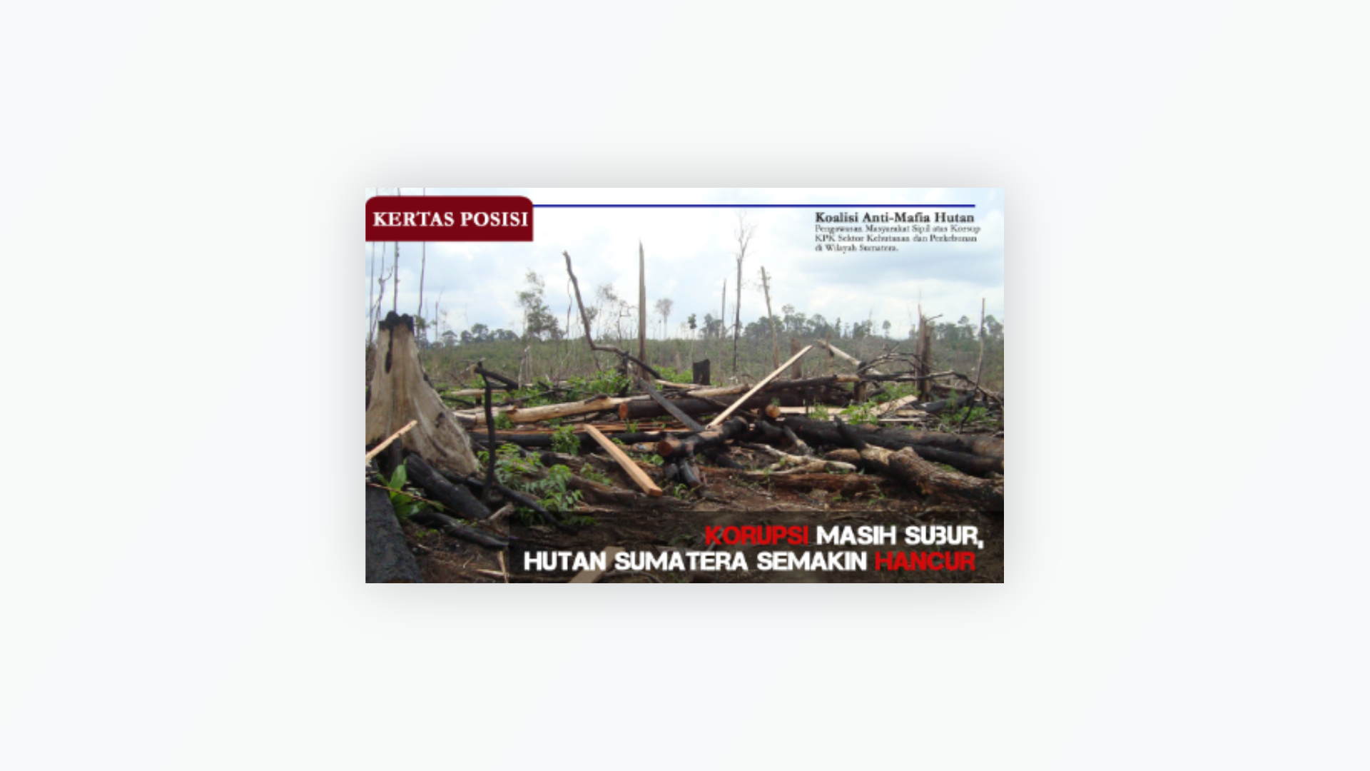 Position Paper: Corruption Still Fertile, Sumatra's Forests Are More ...