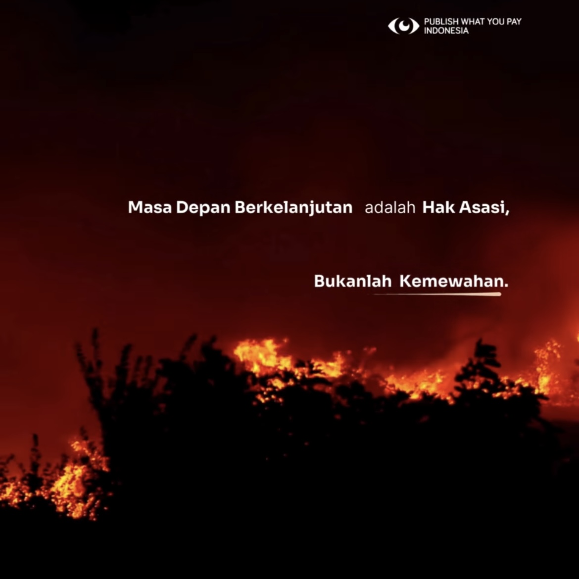 International Human Rights Day 2023 — Pwyp Indonesia 5027