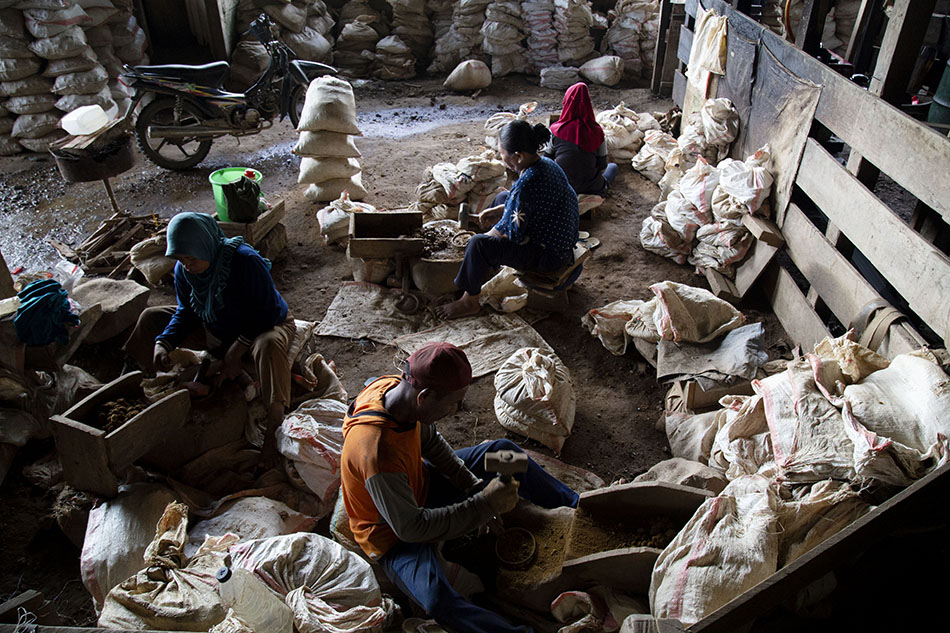 Mining Permit Concerns For Mass Organizations — Pwyp Indonesia